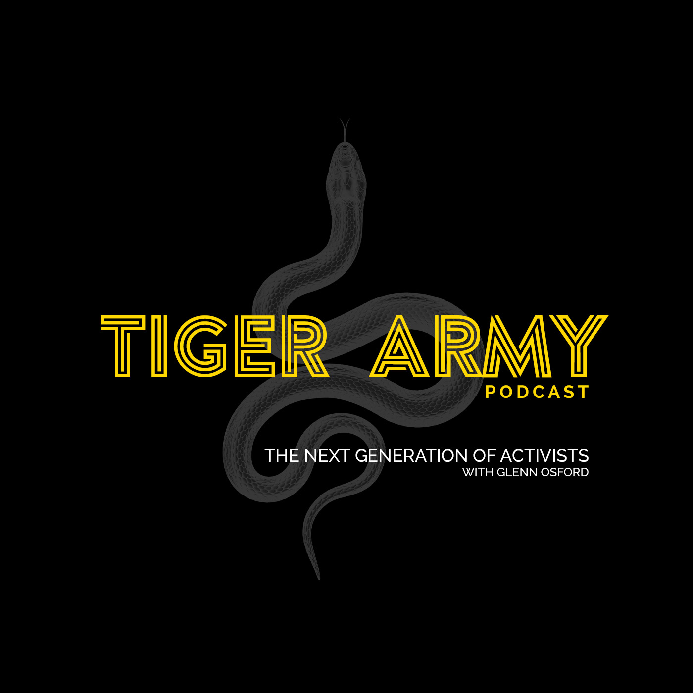 Tiger Army: Next Generation of Activists - Fast Politics with Molly ...